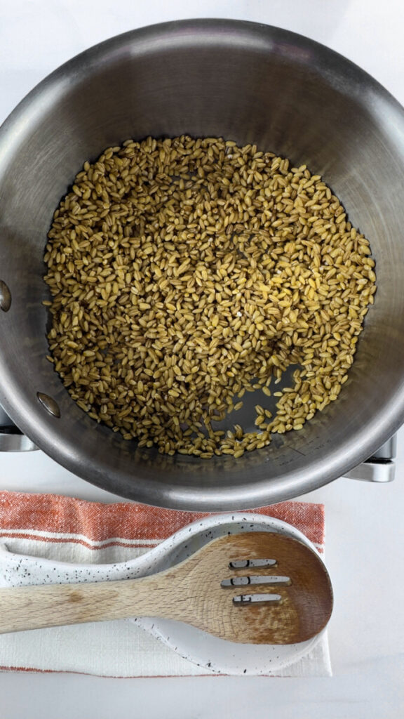 Mediterranean Barley Salad with Corn and Cherries - Rana's Recipe